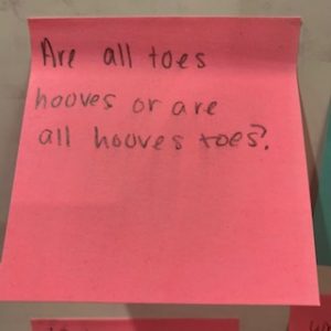 Are all toes hooves or are all hooves toes? – The Answer Wall