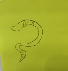 [Drawing of a worm shaped like a question mark] – The Answer Wall